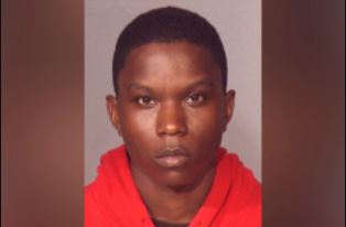 Who is Vincent Pinkney? Wiki, Biography, Age, Spouse, Net Worth, Fast ...