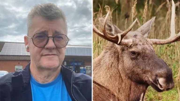 Who is Joe Pasquale? Wiki, Biography, Age, Incident Detail Wikibious