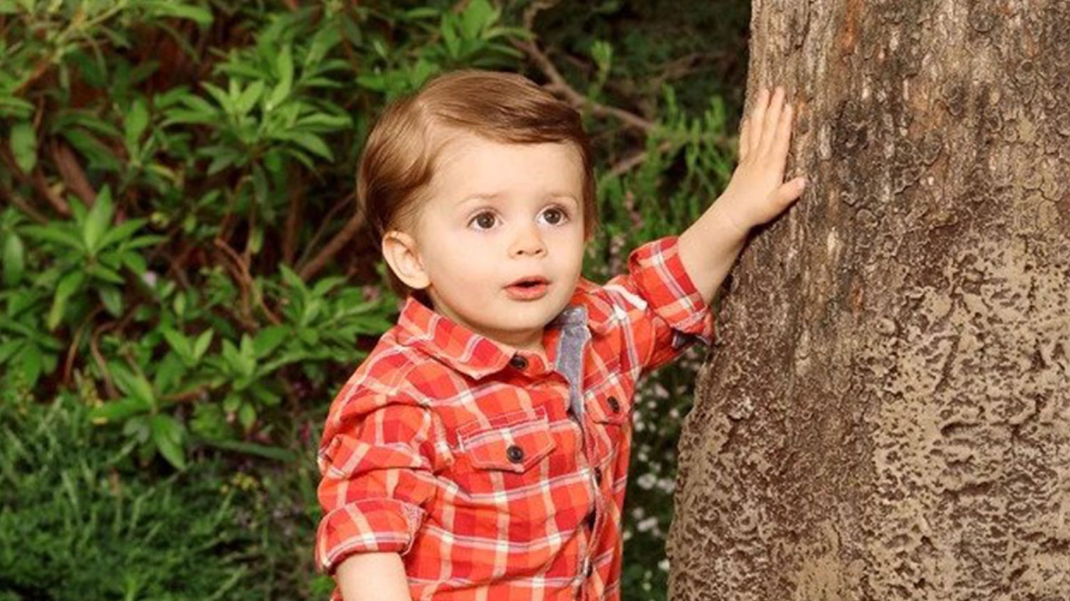 What is Logan Moreau doing now? Wikipedia, Biography, Age, Family ...