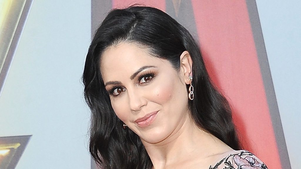 What does Michelle Borth do now? Wikipedia, Biography, Age, Family ...